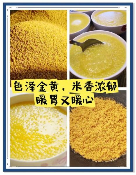 黄小米怎么煮粥最好_黄小米煮粥的正确方法-第1张图片-山城妙识