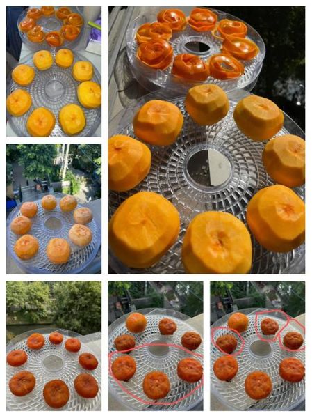 怎样做柿饼_家庭自制柿饼详细步骤-第2张图片-山城妙识 怎样做柿饼_家庭自制柿饼详细步骤-第2张图片-山城妙识