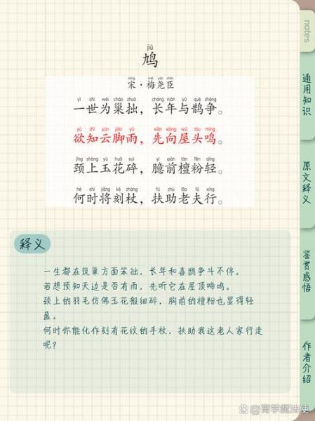 鸽子兮是什么_鸽子兮怎么读-第1张图片-山城妙识 鸽子兮是什么_鸽子兮怎么读-第1张图片-山城妙识