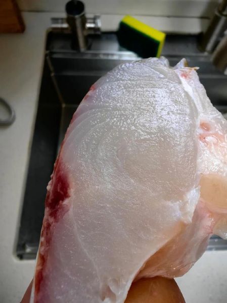 海鲻鱼多少钱一斤_海鲻鱼价格行情-第3张图片-山城妙识 海鲻鱼多少钱一斤_海鲻鱼价格行情-第3张图片-山城妙识