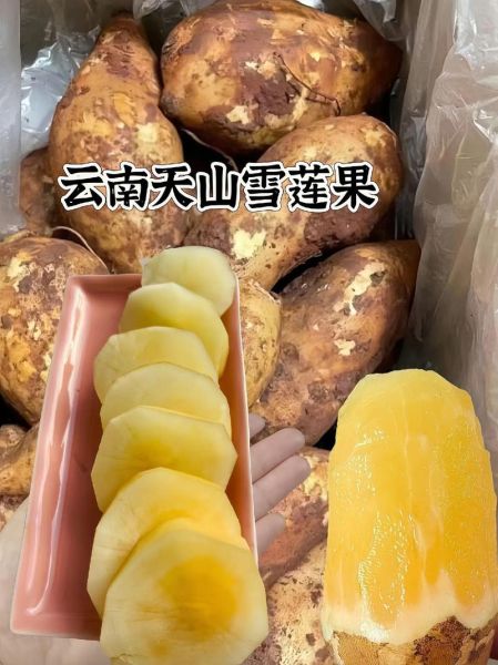 雪莲花怎么吃_雪莲花正确吃法大全-第2张图片-山城妙识 雪莲花怎么吃_雪莲花正确吃法大全-第2张图片-山城妙识