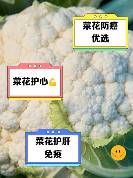 菜花有什么功效_菜花怎么吃最营养-第1张图片-山城妙识