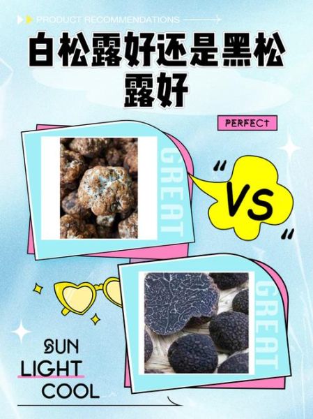 白松露和黑松露的区别_哪个更贵-第1张图片-山城妙识 白松露和黑松露的区别_哪个更贵-第1张图片-山城妙识