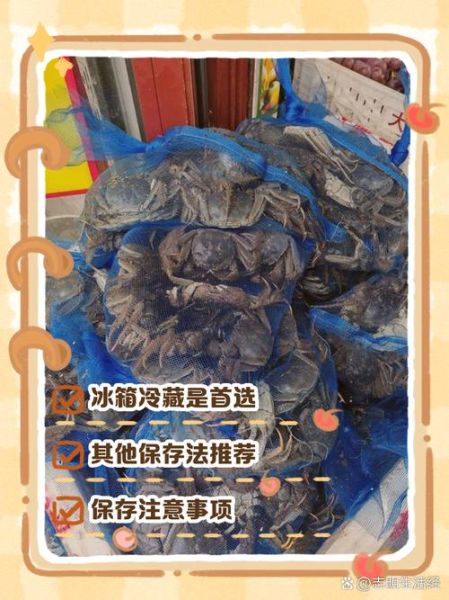 鲜活螃蟹怎么保存_螃蟹放冰箱能活几天-第1张图片-山城妙识
