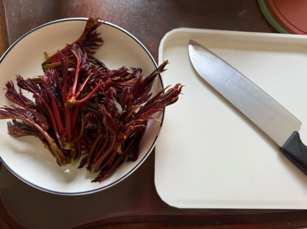 香椿芽拌豆腐窍门_香椿芽要不要焯水-第1张图片-山城妙识 香椿芽拌豆腐窍门_香椿芽要不要焯水-第1张图片-山城妙识