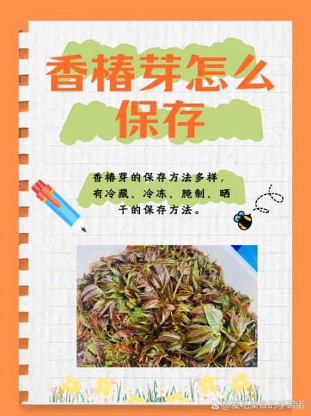 凉拌香椿芽怎么做_凉拌香椿芽怎么保存-第2张图片-山城妙识 凉拌香椿芽怎么做_凉拌香椿芽怎么保存-第2张图片-山城妙识