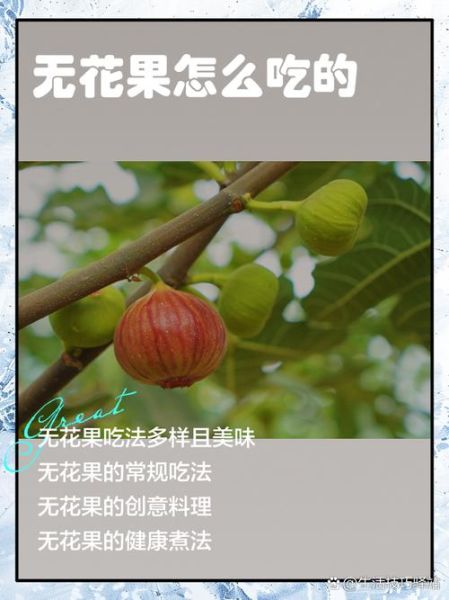 新鲜无花果怎么吃_新鲜无花果的吃法大全-第2张图片-山城妙识 新鲜无花果怎么吃_新鲜无花果的吃法大全-第2张图片-山城妙识