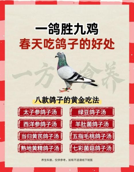 怎么炖鸽子汤好喝_鸽子汤去腥增香的秘诀-第1张图片-山城妙识