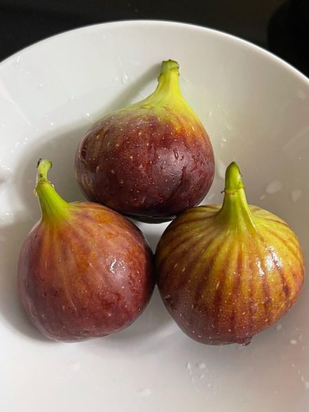 新鲜无花果怎么吃_新鲜无花果的吃法大全-第3张图片-山城妙识 新鲜无花果怎么吃_新鲜无花果的吃法大全-第3张图片-山城妙识