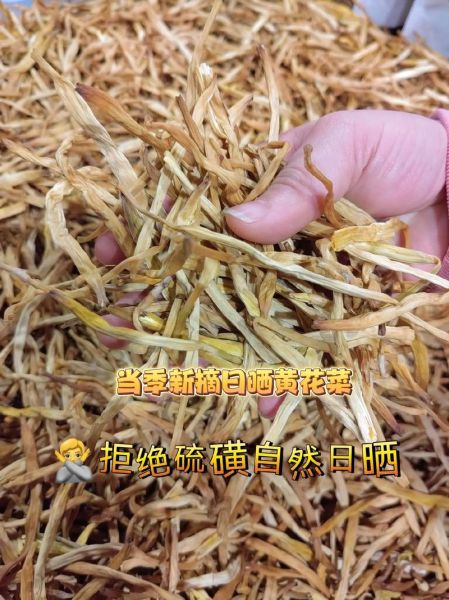 金针菜图片大全_金针菜和黄花菜的区别-第3张图片-山城妙识 金针菜图片大全_金针菜和黄花菜的区别-第3张图片-山城妙识