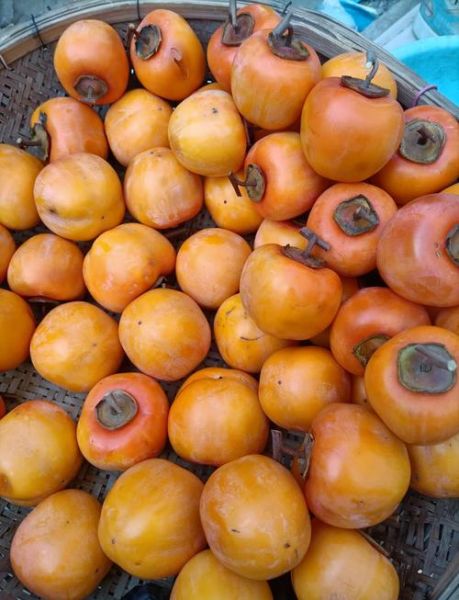 自制柿饼怎么做_柿饼晾晒多久才好吃-第1张图片-山城妙识