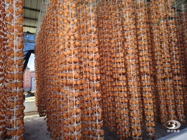 自制柿饼怎么做_柿饼晾晒多久才好吃-第2张图片-山城妙识