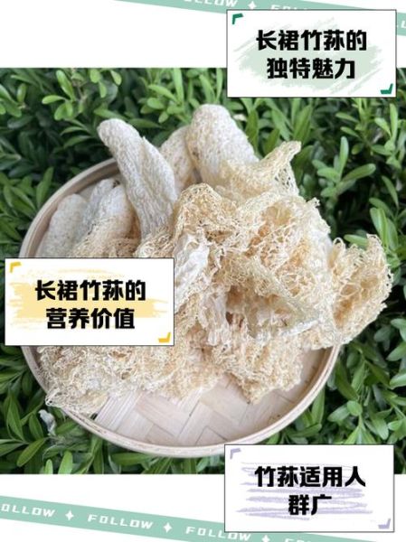 长裙竹荪怎么泡发_长裙竹荪怎么吃最好-第1张图片-山城妙识 长裙竹荪怎么泡发_长裙竹荪怎么吃最好-第1张图片-山城妙识