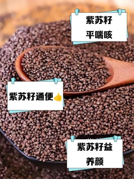紫苏籽的功效与作用_紫苏籽怎么吃效果最好-第3张图片-山城妙识