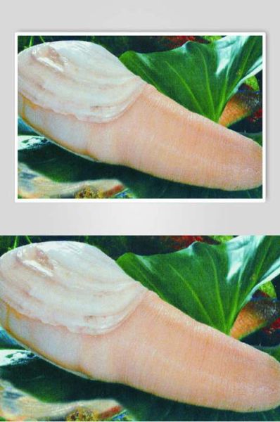 象拔蚌app下载_如何安全安装最新版-第2张图片-山城妙识