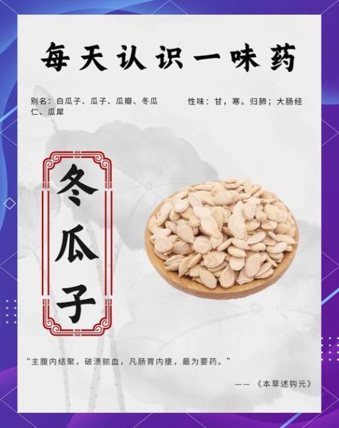 冬瓜子的功效与作用禁忌_哪些人不能吃-第1张图片-山城妙识 冬瓜子的功效与作用禁忌_哪些人不能吃-第1张图片-山城妙识