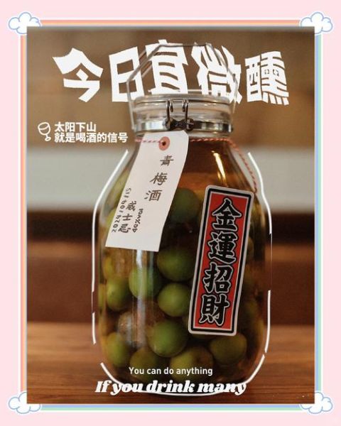 酒酿小青梅po小花猫_怎么做才好吃-第2张图片-山城妙识