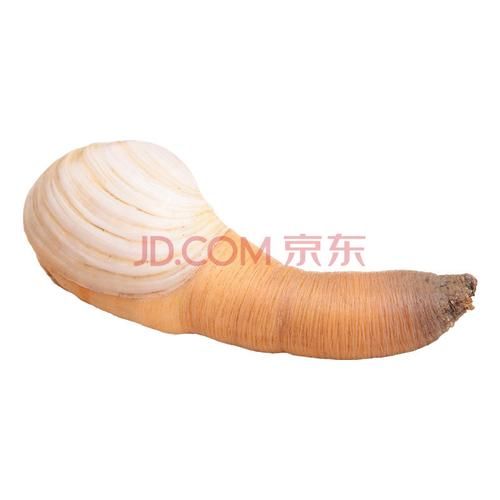 象拔蚌app下载_如何安全安装最新版-第3张图片-山城妙识