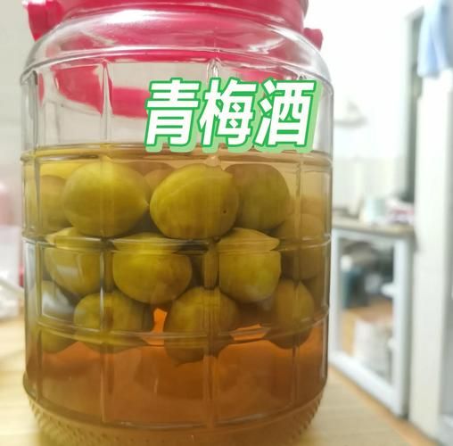 酒酿小青梅po小花猫_怎么做才好吃-第1张图片-山城妙识