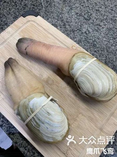 象拔蚌app下载_如何安全安装最新版-第1张图片-山城妙识