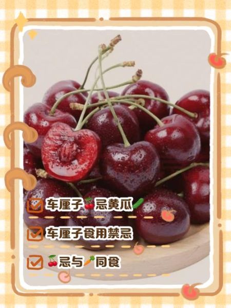 车厘子不能和什么一起吃_吃车厘子有什么禁忌-第2张图片-山城妙识