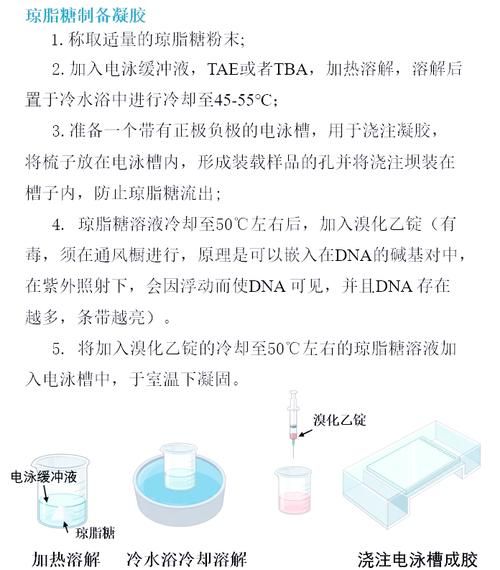 琼脂糖凝胶电泳缓冲液配方_跑胶条带模糊怎么办-第1张图片-山城妙识 琼脂糖凝胶电泳缓冲液配方_跑胶条带模糊怎么办-第1张图片-山城妙识