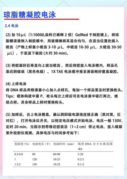 琼脂糖凝胶电泳缓冲液配方_跑胶条带模糊怎么办-第2张图片-山城妙识 琼脂糖凝胶电泳缓冲液配方_跑胶条带模糊怎么办-第2张图片-山城妙识