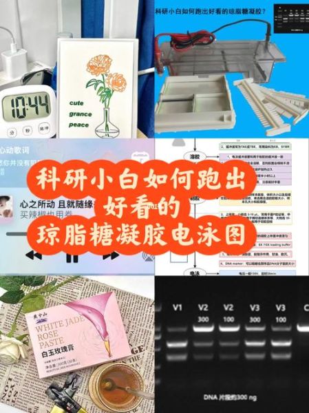 琼脂糖凝胶电泳缓冲液配方_跑胶条带模糊怎么办-第3张图片-山城妙识 琼脂糖凝胶电泳缓冲液配方_跑胶条带模糊怎么办-第3张图片-山城妙识