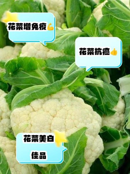 菜花有什么营养价值_菜花有哪些功效与作用-第3张图片-山城妙识