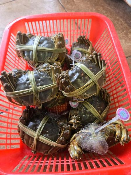 阳澄湖吃大闸蟹哪里最正宗_阳澄湖吃大闸蟹哪家最好-第2张图片-山城妙识