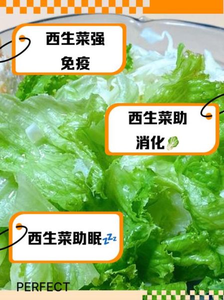 西生菜可以生吃吗_西生菜和生菜区别-第1张图片-山城妙识