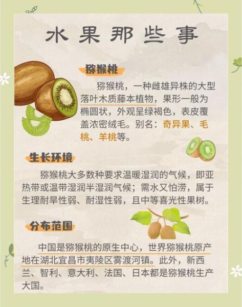 猕猴桃的作用与功效有哪些_吃猕猴桃能美白吗-第1张图片-山城妙识