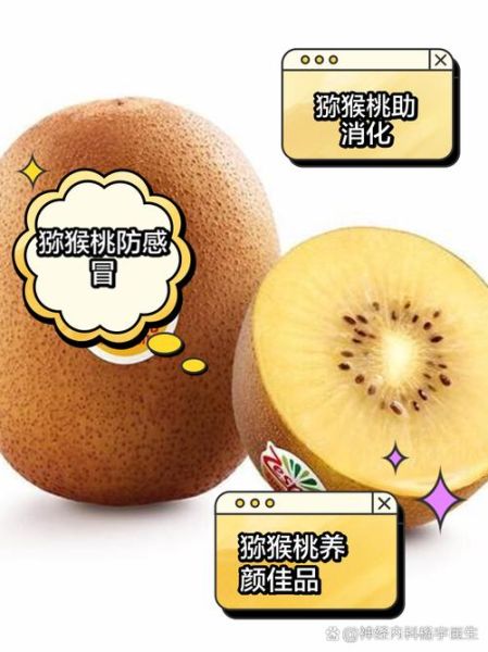 猕猴桃的作用与功效有哪些_吃猕猴桃能美白吗-第3张图片-山城妙识