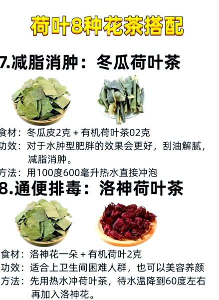 荷叶减肥真的有用吗_荷叶茶怎么喝才瘦身-第2张图片-山城妙识 荷叶减肥真的有用吗_荷叶茶怎么喝才瘦身-第2张图片-山城妙识