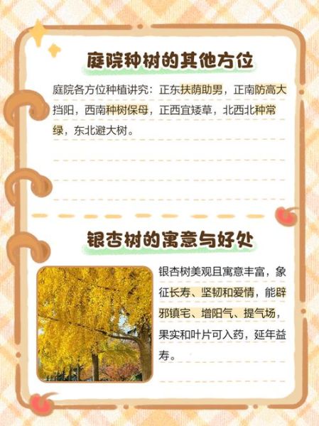 银杏树适合种在庭院吗_银杏树几年结果-第3张图片-山城妙识