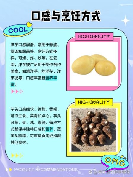 洋芋和土豆的区别_洋芋和土豆是一个东西吗-第1张图片-山城妙识 洋芋和土豆的区别_洋芋和土豆是一个东西吗-第1张图片-山城妙识