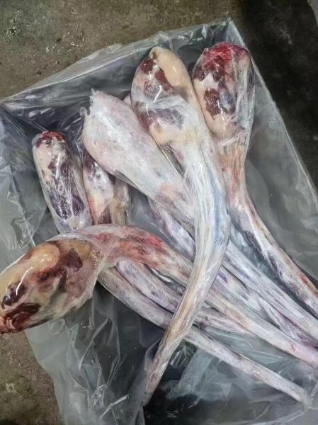 牛尾价格多少钱一斤_牛尾为什么这么贵-第1张图片-山城妙识