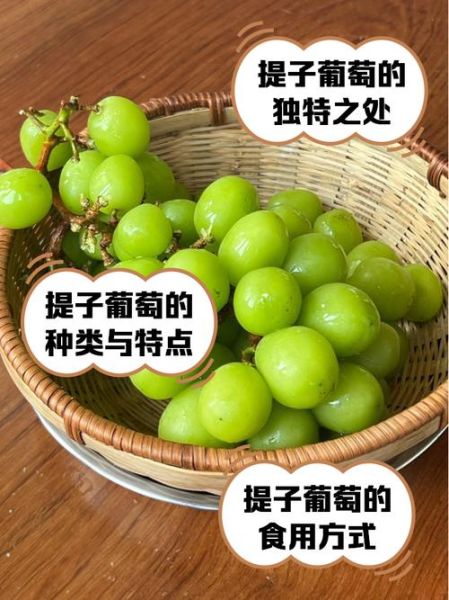牛奶提子葡萄可以一起吃吗_营养价值对比-第1张图片-山城妙识 牛奶提子葡萄可以一起吃吗_营养价值对比-第1张图片-山城妙识