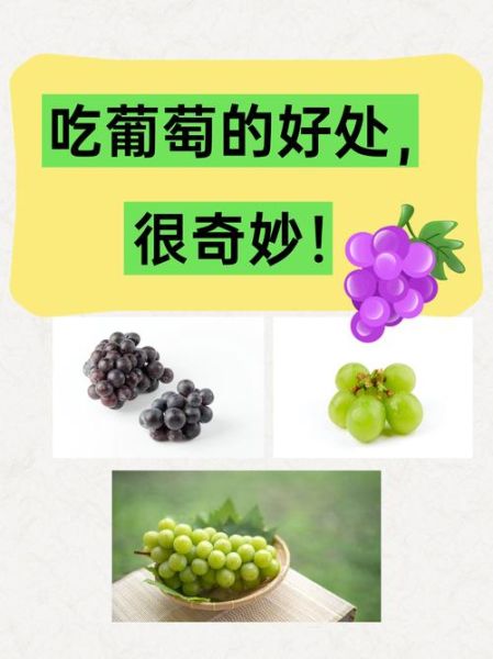 牛奶提子葡萄可以一起吃吗_营养价值对比-第3张图片-山城妙识 牛奶提子葡萄可以一起吃吗_营养价值对比-第3张图片-山城妙识