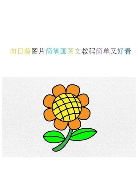向日葵简笔画怎么画_向日葵图片简笔画教程-第2张图片-山城妙识