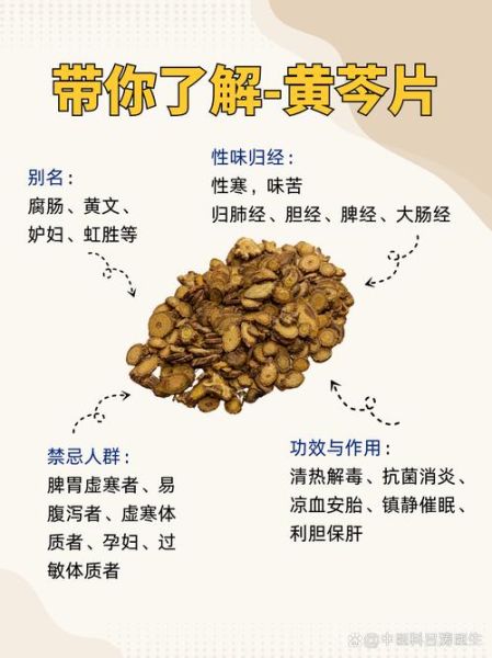 黄芩伤不伤脾胃_黄芩苦寒伤胃吗-第2张图片-山城妙识