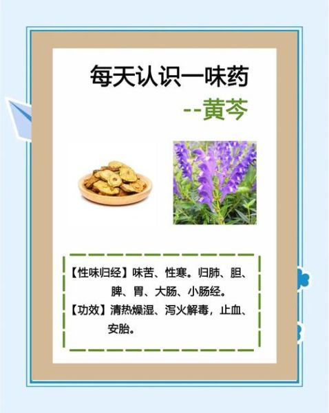 黄芩伤不伤脾胃_黄芩苦寒伤胃吗-第1张图片-山城妙识