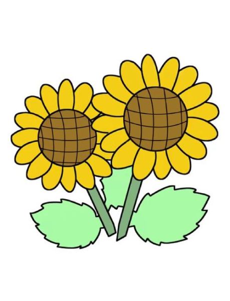 向日葵简笔画怎么画_向日葵图片简笔画教程-第1张图片-山城妙识
