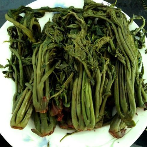 香椿芽咸菜怎么腌制_香椿芽咸菜腌制方法-第2张图片-山城妙识
