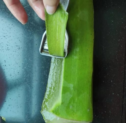 芦荟怎么吃治便秘_芦荟治便秘的正确吃法-第2张图片-山城妙识 芦荟怎么吃治便秘_芦荟治便秘的正确吃法-第2张图片-山城妙识