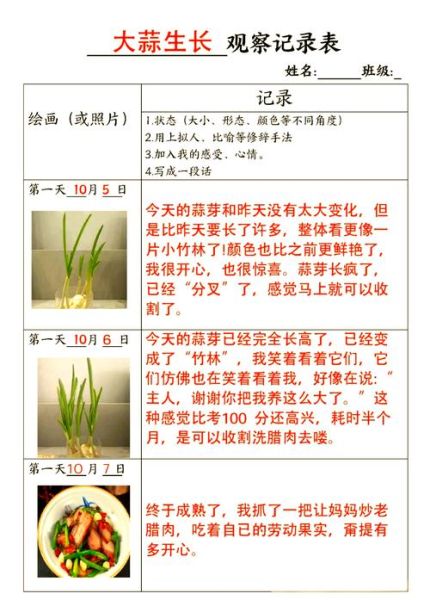 大蒜怎么种发芽快_大蒜几天能发芽-第2张图片-山城妙识 大蒜怎么种发芽快_大蒜几天能发芽-第2张图片-山城妙识