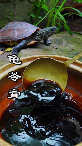 龟苓膏是什么做的_龟苓膏里面有乌龟吗-第3张图片-山城妙识