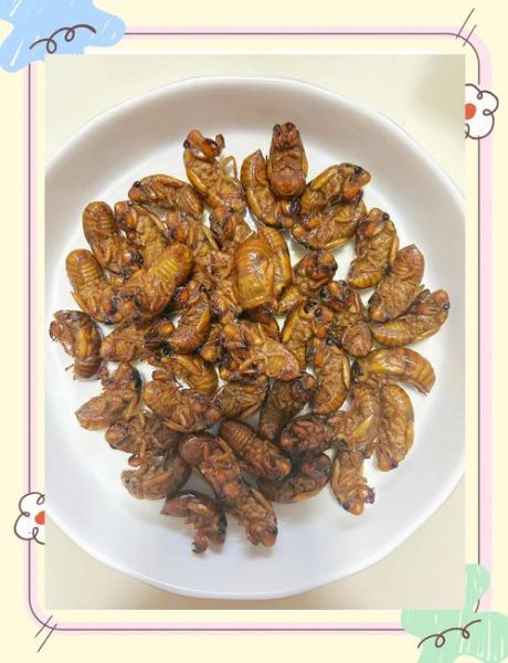 油炸知了不能和什么一起吃_孕妇能吃吗-第3张图片-山城妙识 油炸知了不能和什么一起吃_孕妇能吃吗-第3张图片-山城妙识