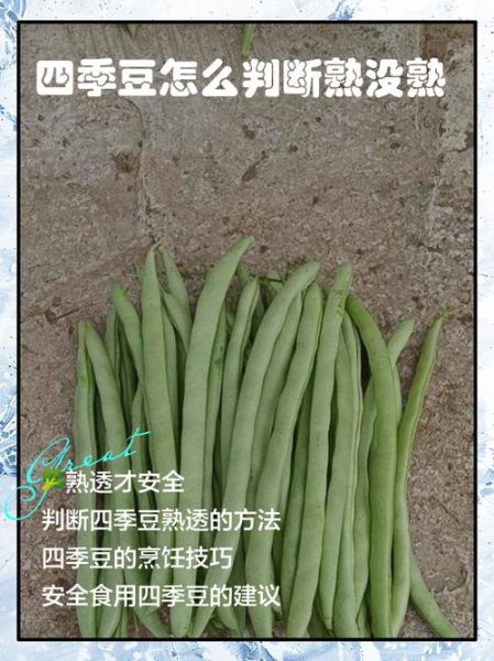 四季豆不熟会中毒吗_吃了没熟的四季豆怎么办-第3张图片-山城妙识