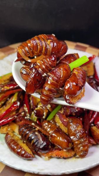 蚕蛹怎么炒才酥脆_蚕蛹炸不脆怎么办-第1张图片-山城妙识 蚕蛹怎么炒才酥脆_蚕蛹炸不脆怎么办-第1张图片-山城妙识